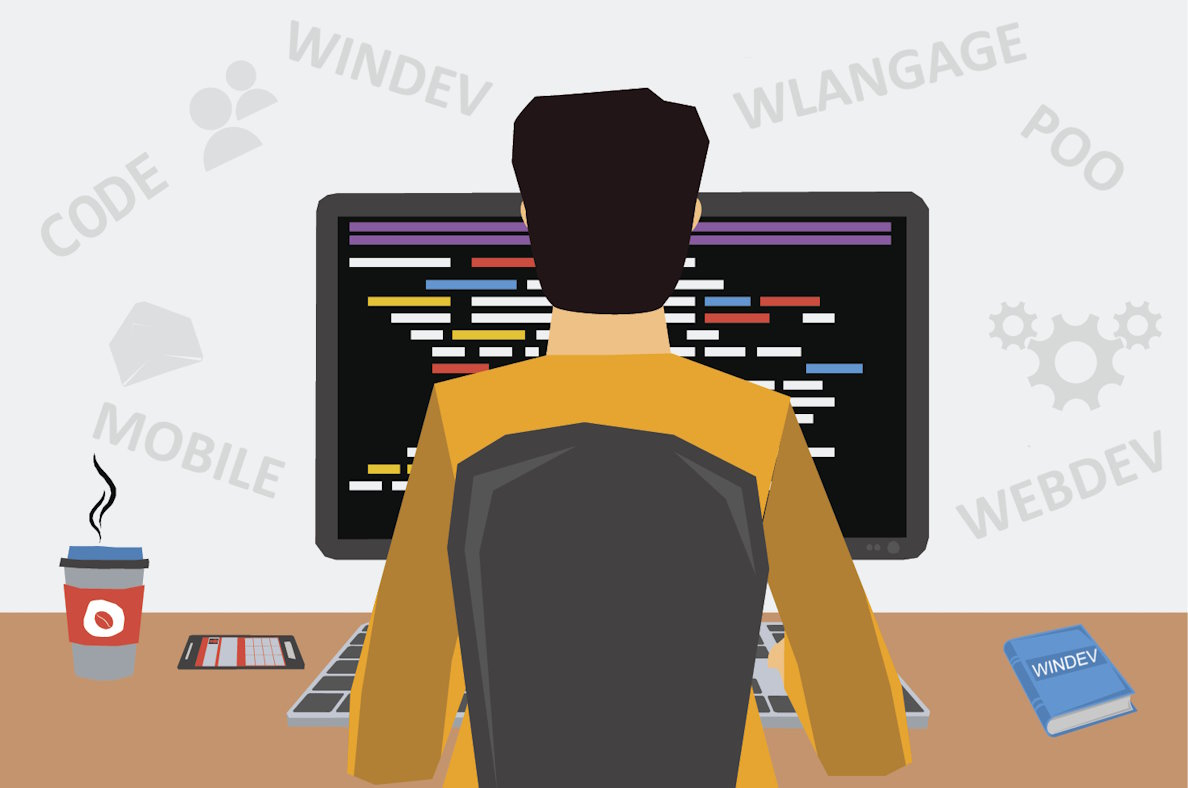 Formation WINDEV (3 jours) : fenêtres, HFSQL, WLangage, POO, WINDEV ...